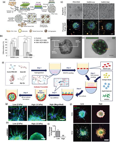 Hybrid Gelatin Hydrogels Formulated By Combination With Collagen And
