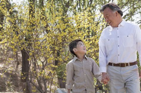 微笑的祖父和孙子手牵在春天去公园高清图片下载 正版图片507527157 摄图网