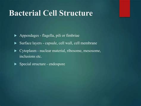 Bacterial Cell Structure And Function 1 Ppt