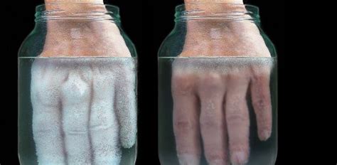 Home Science Home Science