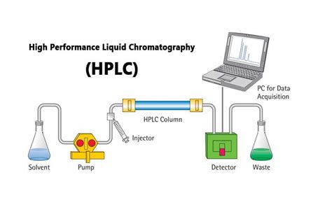 The Essential Guide To Understanding HPLC Instruments Exploring The Block Diagram