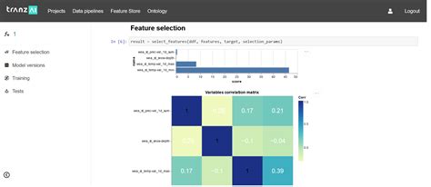 Feature Selection Tranzai Platform Documentation