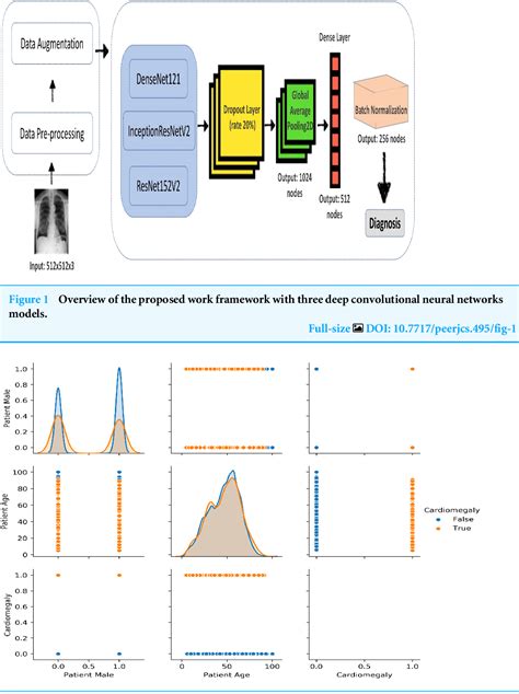 Figure From AI Driven Deep CNN Approach For Multi Label Pathology