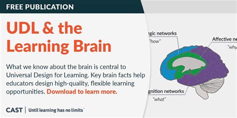 Cynthia Gutierrez On Linkedin Udl And The Human Brain