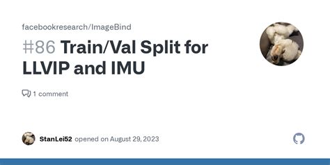 Train Val Split For LLVIP And IMU Issue 86 Facebookresearch