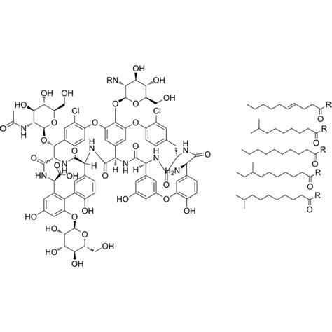 Teicoplanin Antibiotic Mdl 507 Bacterial Inhibitor Medchemexpress