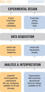 Advantages Of RNA Seq Over Microarray Technology Cofactor Genomics