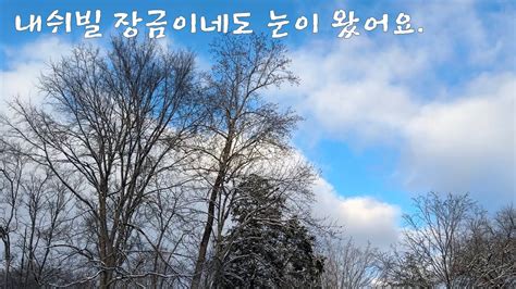 내쉬빌 장금이 눈이 와서 너무나 아름다운 겨울이에요 Youtube