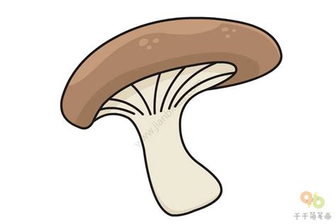 平菇美食简笔画 美食简笔画简单 大山谷图库