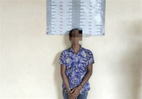 នគរបាលឃាត់ខ្លួនជនសង្ស័យម្នាក់ ករណីរំលោភសេពសន្ថវៈលើអនីតិជនចំនួន ០២នាក់ សារព័ត៌មាន នគរវត្ត