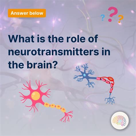 On Linkedin Brainacademy Memoryconsolidation Optimizelearning