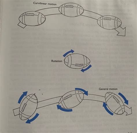 EXPH 364 Chapter 2 Kinematic Concepts For Analyzing Human Motion Flashcards Quizlet