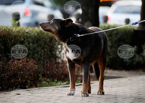 Проблемите в Екоравновесие могат да се решат само ако всички работим заедно заяви кметът на
