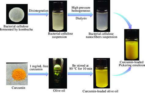 Schematic Diagram Of Curcumin Loaded Pickering Emulsion Download Scientific Diagram