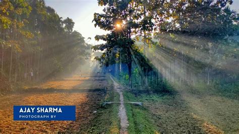 Bimex Engineers On Linkedin Celebrations Event Newyear2022 Photocontest Employeesmatter…