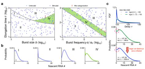 Stochastic Bifurcation Diagram For Model Iii In The Bursty Regime σ Download Scientific