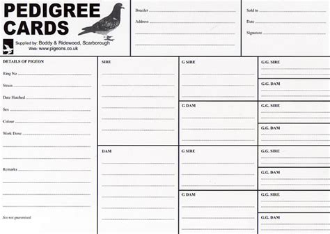 Printable Pigeon Pedigree Forms Blank Printable Forms Free Online