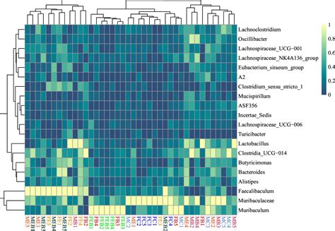 Drinking Pattern And Sex Modulate The Impact Of Ethanol Consumption On