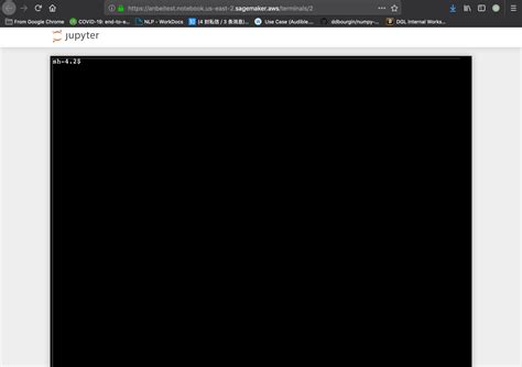 使用 Amazon Sagemaker 加速自定义 Ai 医疗影像算法构建 亚马逊aws官方博客