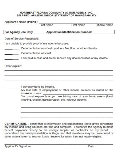 10 Self Declaration Statement Examples To Download