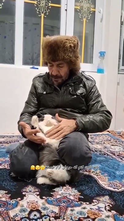 سگ وگربه نگهداری تو خونه زندگیت خراب میشه ویدیوش داخل کانال👇👇 سگ