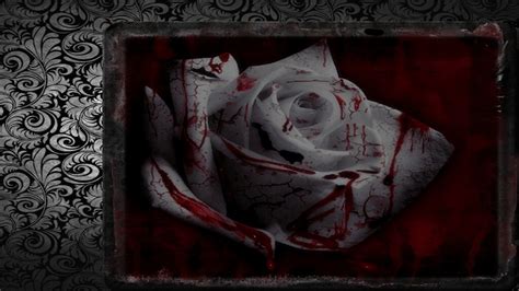 Bleeding White Rose Drawing