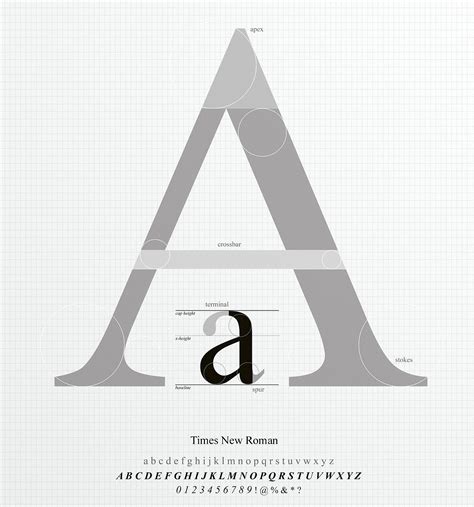 Times New Roman Ps Bold Mt Font Download Best