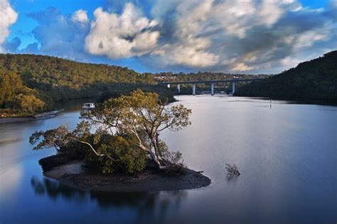 Chilby Tree Chilby Photography