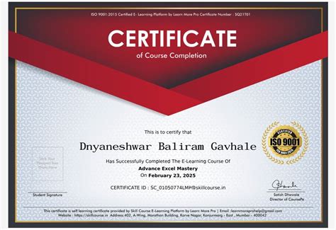 Advancedexcel Dataanalysis Excelmastery Skillcourseacademy