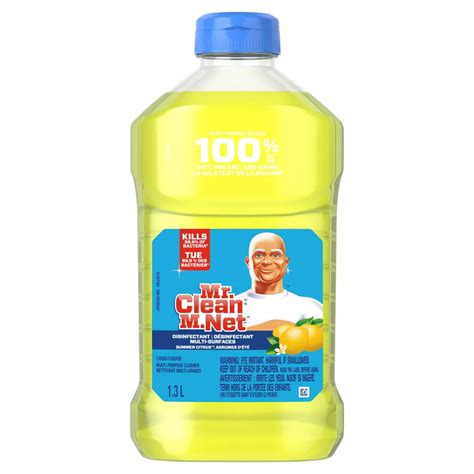 Mr Clean M Net Multi Purpose Cleaner Summer Citrus L The Home