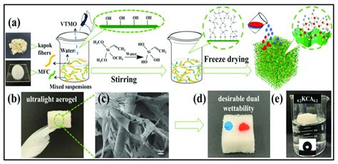 Illustration Of Hydrophobic Cellulose Based Aerogel Properties A Download Scientific Diagram
