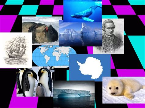 Antarctica Powerpoint Ppt