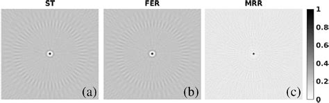Spatially Variant Regularization Based On Model Resolution And Fidelity