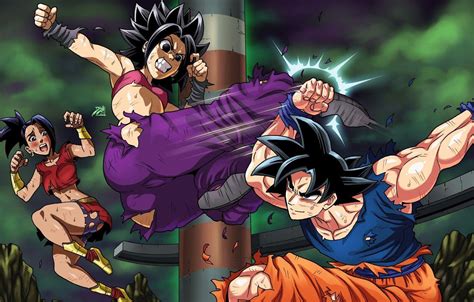 Caulifla Wallpapers Top Free Caulifla Backgrounds Wallpaperaccess