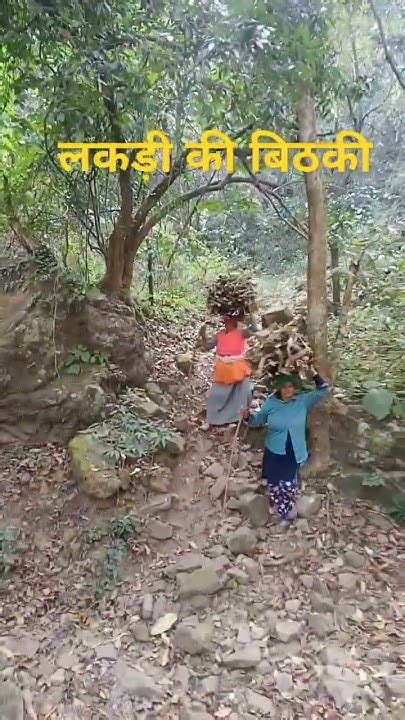 नरेंद्र सिंह नेगी गढ़वाली सोन्ग। Youtube