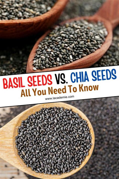 Basil Seeds Vs Chia Seeds All You Need To Know 2023