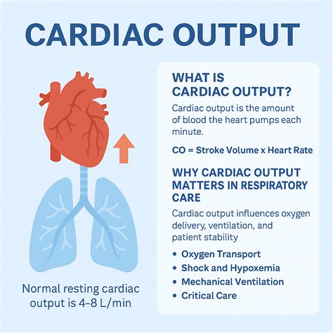 Cardiac Output Overview And Practice Questions 2025