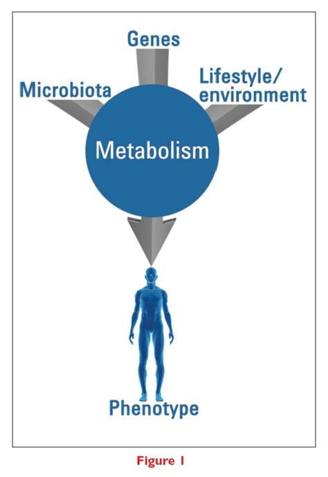 Metabolomics A Playbook For Functional Genomics Drug Discovery