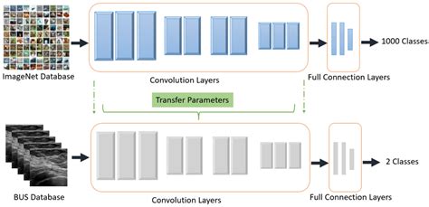 Illustrations Of Transfer Learning The Parameters Are Transferred In