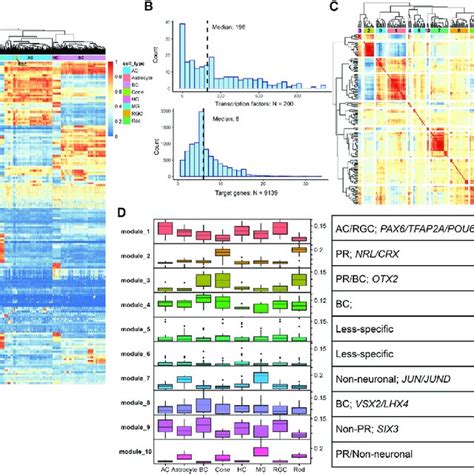 inference of tf activity and annotation of tf modules a heatmap