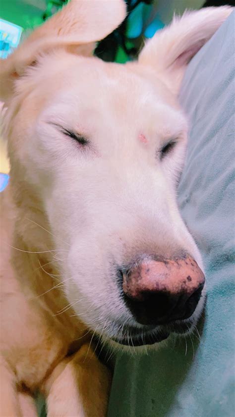 우주에서 가장 이쁘고 귀여운 생명체