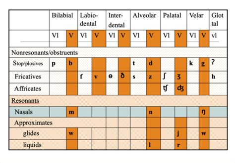 Distinctive Features Flashcards Quizlet