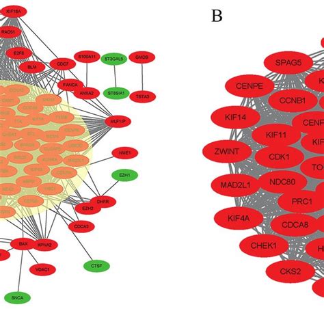 deg ppi network and modular analysis a using the string online