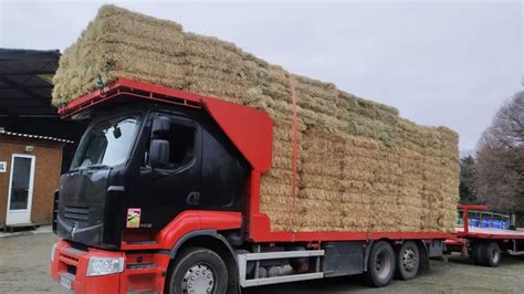 Sofiane Benaroussi Sengage Auprès De Lassociation Au Delà Des Pistes