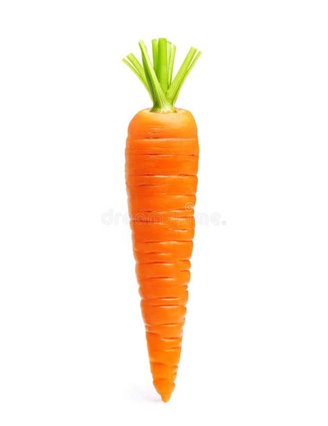 Cenoura Isolada No Branco Imagem De Stock Imagem De Isolado 109799059