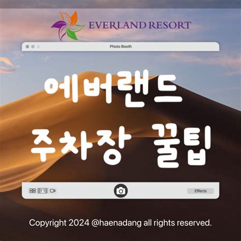 에버랜드 주차장 팁 주차장 위치 할인 꿀팁 에버랜드 정문 유료주차장 할인 내돈내산 후기 네이버 블로그