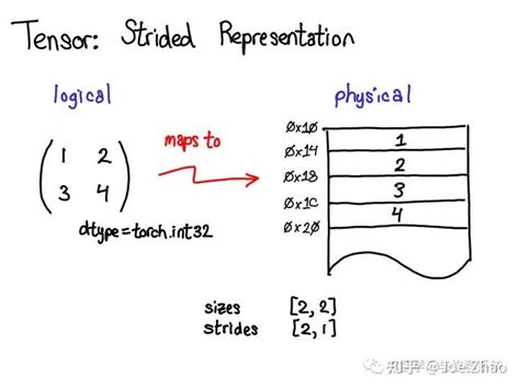 【pytorch】tensor张量 知乎