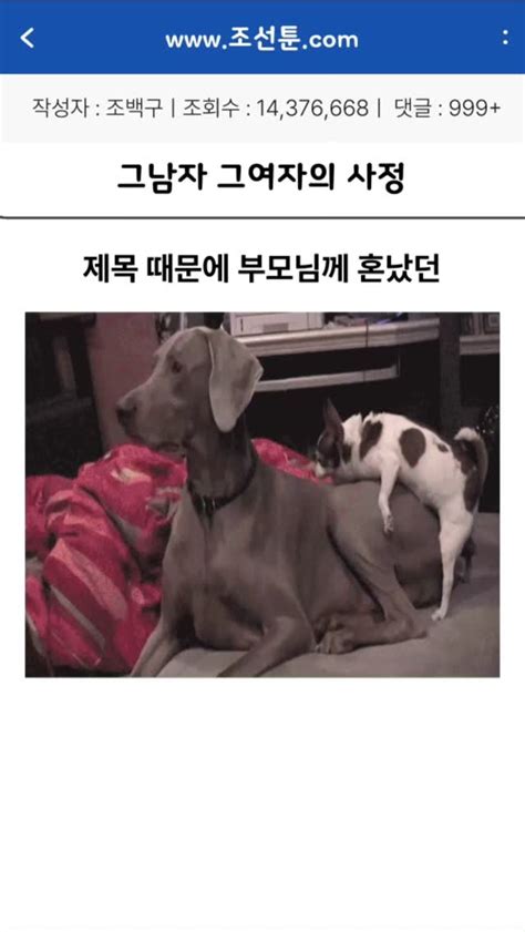 조선툰 Toonjoseon • Instagram Photos And Videos