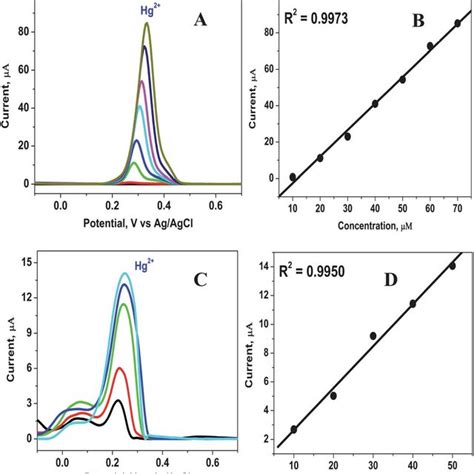 Cyclic Voltammetric Behavior Of Au Pedot Modified Carbon Paste Download Scientific Diagram