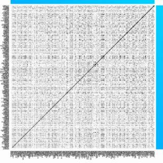 Estimated Covariance Matrix By LOREC Download Scientific Diagram
